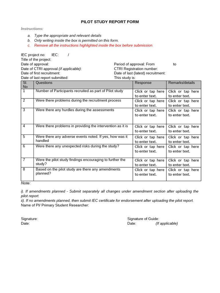 6 Pilot Study Report Form PDF