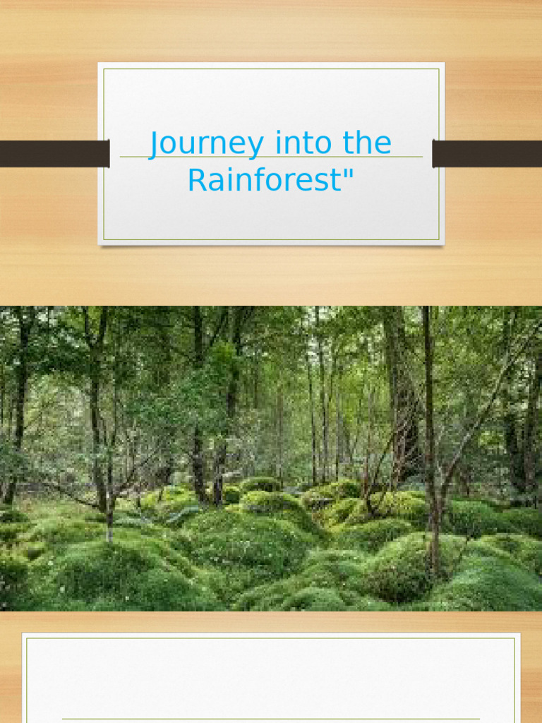 Journey Into The Rainforest | PDF