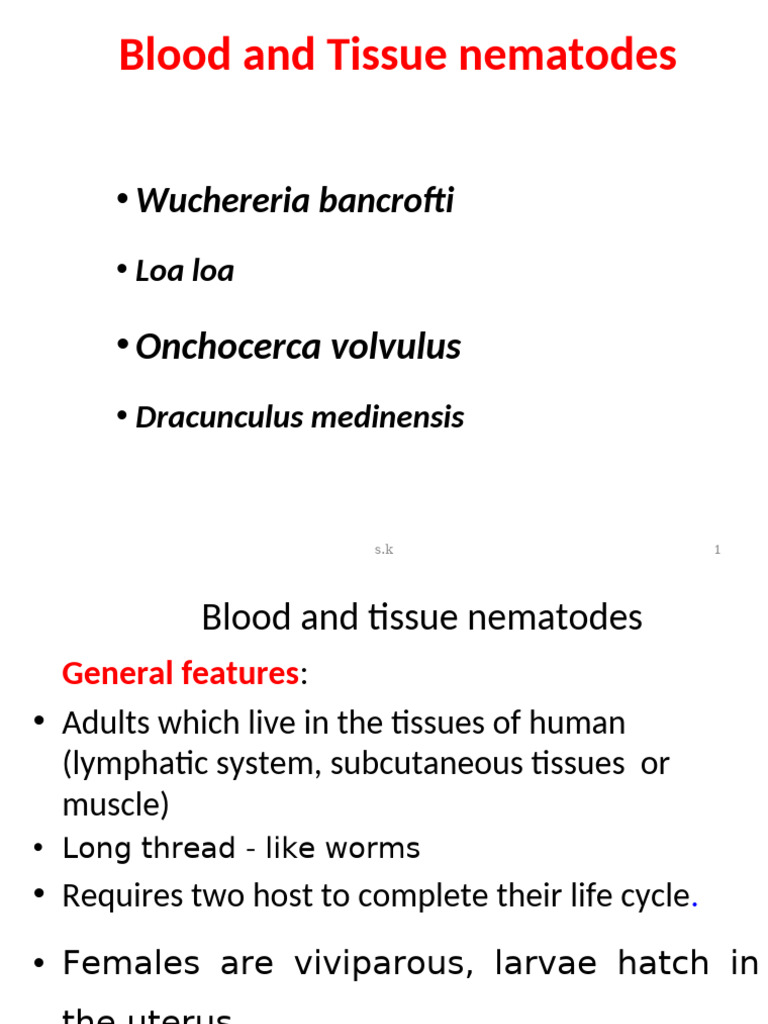 Blood and Tissue Nematodes Overview | PDF | Medical Specialties ...