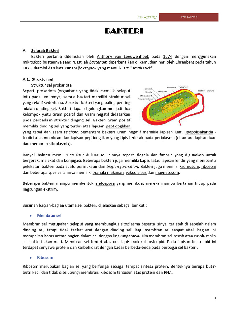 BAKTERI | PDF