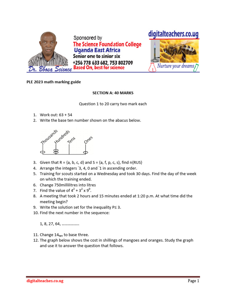 PLE 2023 Math Marking Guide | PDF
