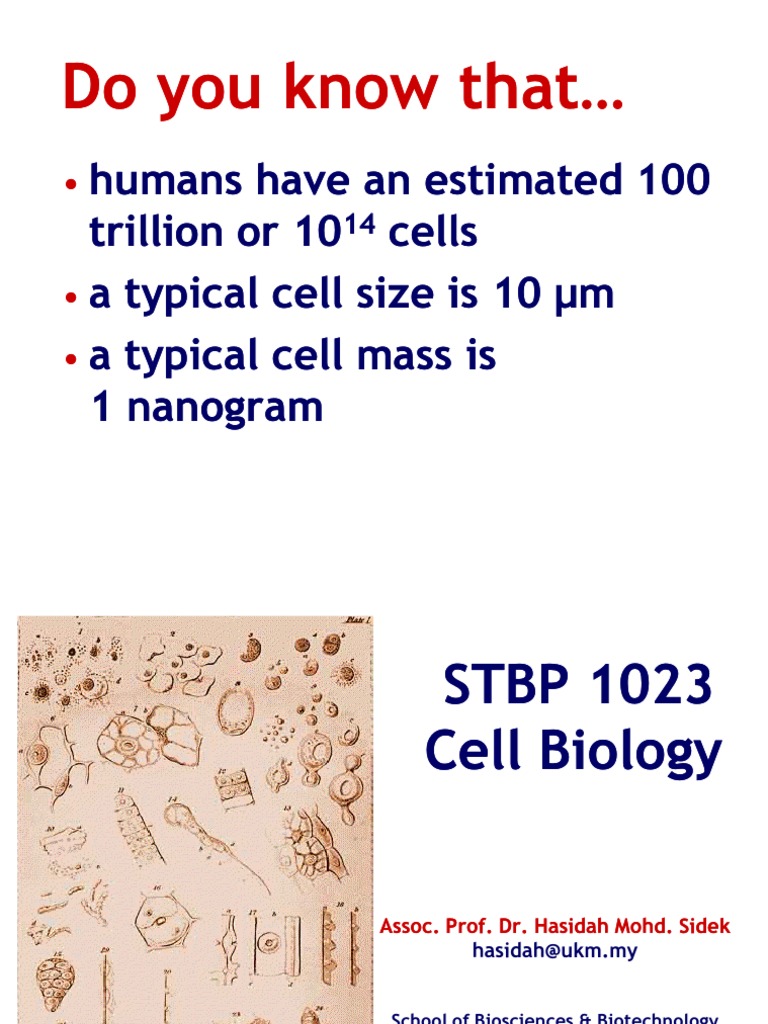 Cell Biology Lecture 1 & 2 Sem I 2011-2012 Introduction To Cell Biology ...