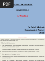 Chaetae and Chaetogenesis in Polychaetes (Annelida) : Harald Hausen ...