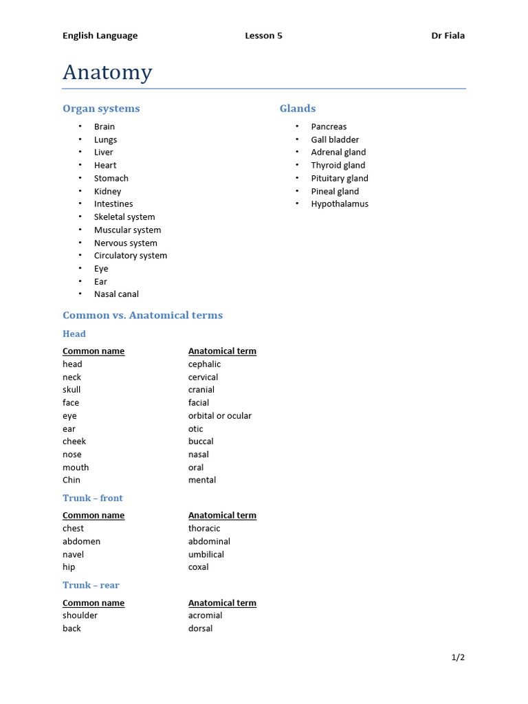 English C5-Anatomyprescription | PDF | Anatomical Terms Of Location | Hand