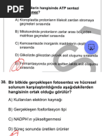 Apotemi̇ Maraton Tyt TG Cevap Anahtari | PDF