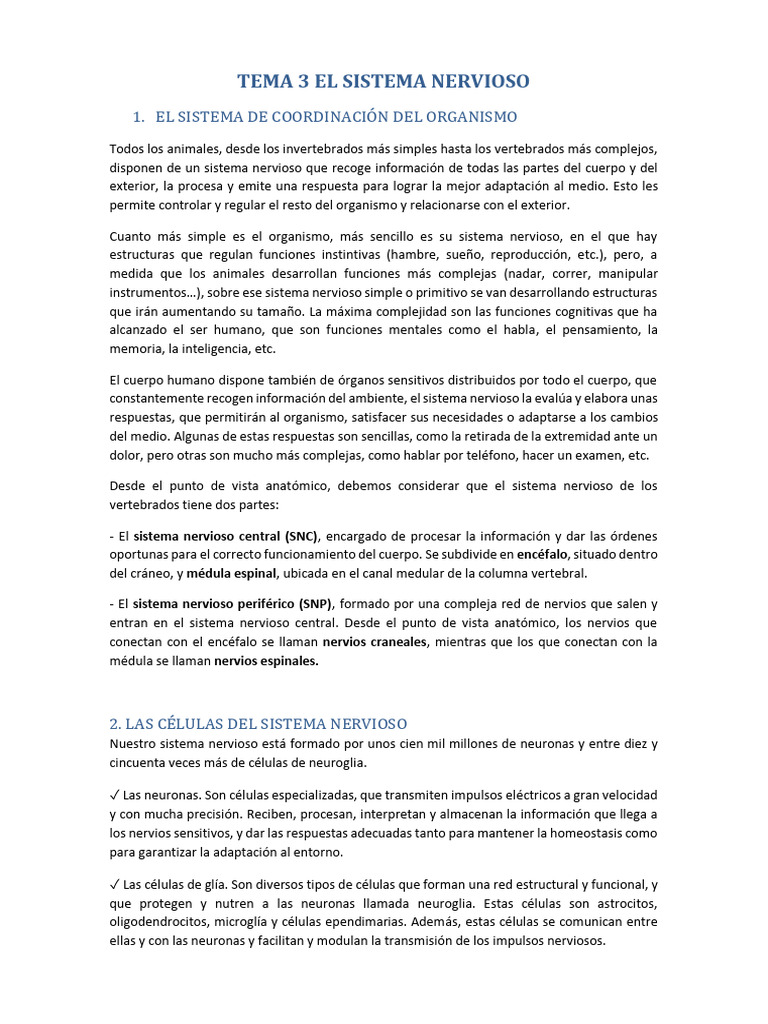 TEMA 3 EL SISTEMA NERVIOSO | PDF | Sistema nervioso | Sinapsis
