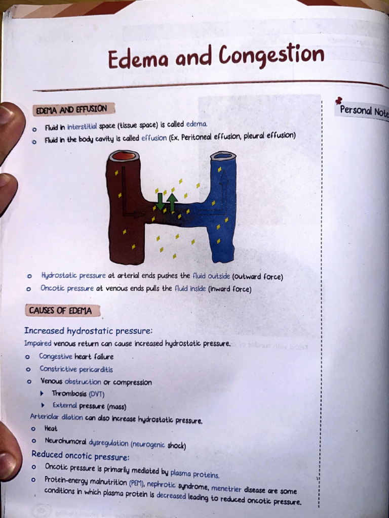 Edema and Shock: Causes and Effects | PDF | Edema | Shock (Circulatory)