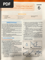 Direct Microscopic Exam of Fungi | PDF | Staining | Fungus