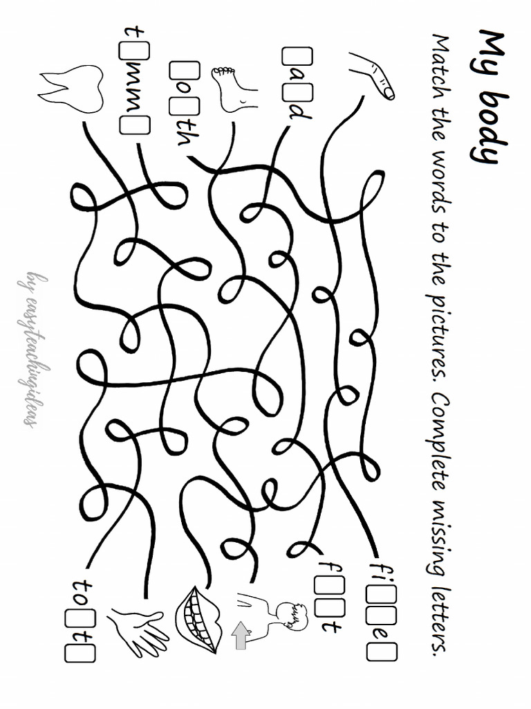 My Body Worksheet 1 | PDF