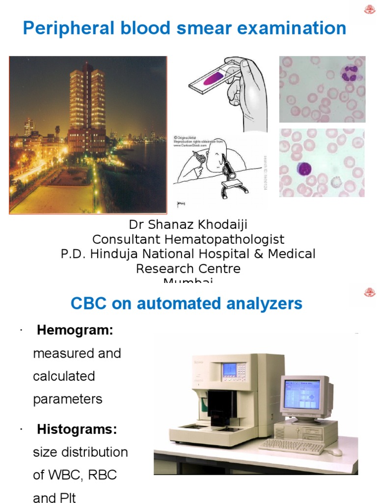 05 - Peripheral Blood Smear Examination | Download Free PDF | Anemia ...