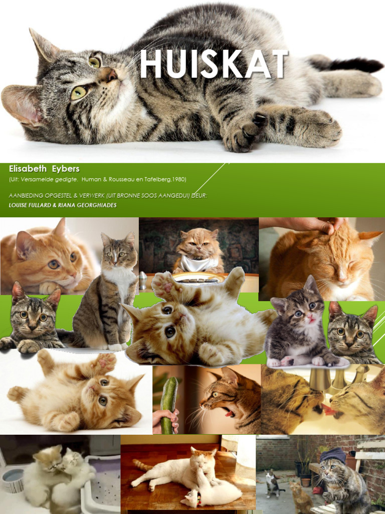 6 Huiskat L FULLARD-R GEORGHIADES | PDF