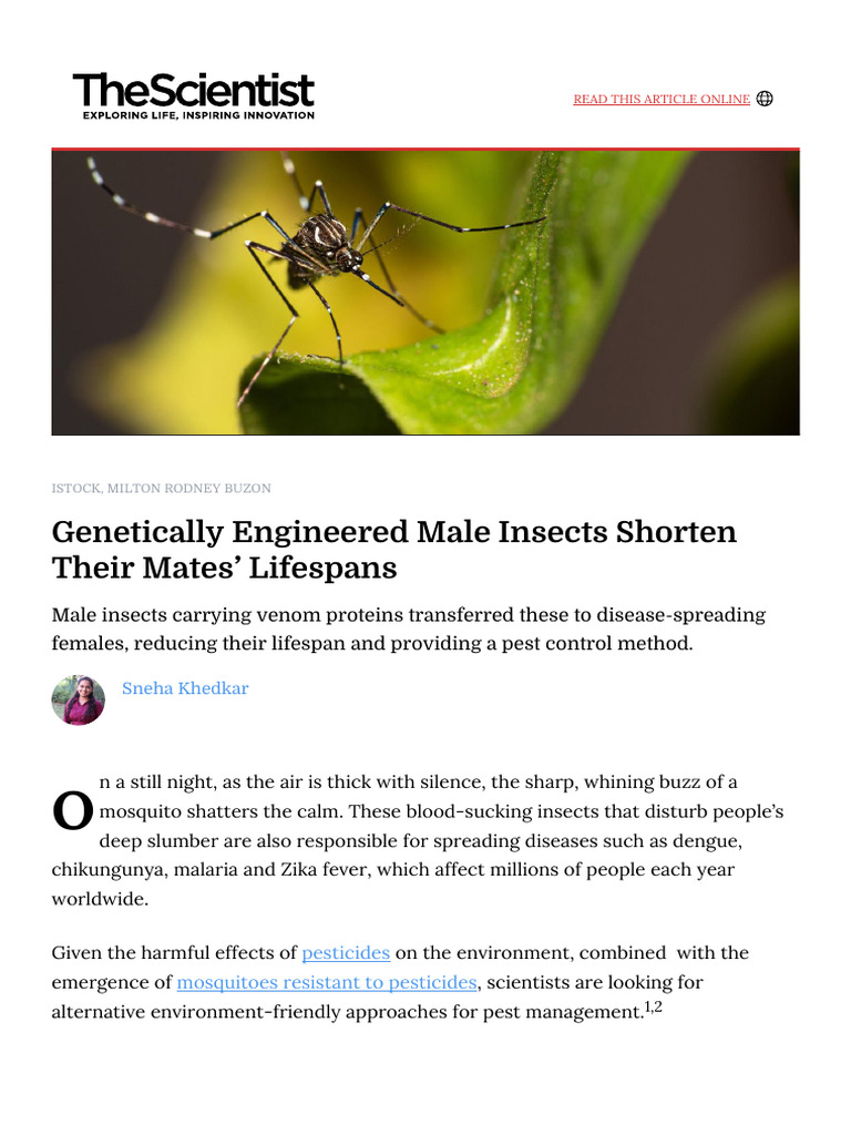 Genetically Engineered Male Insects Shorten Their Mates' Lifespans ...