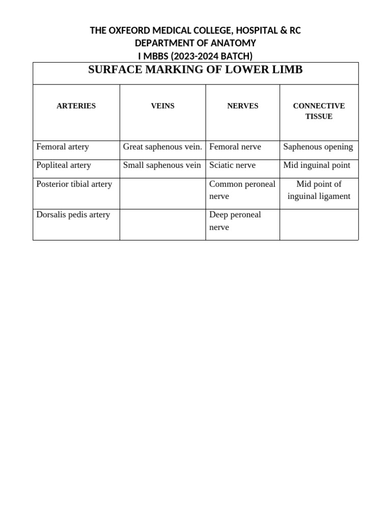 LL Surface Marking | PDF