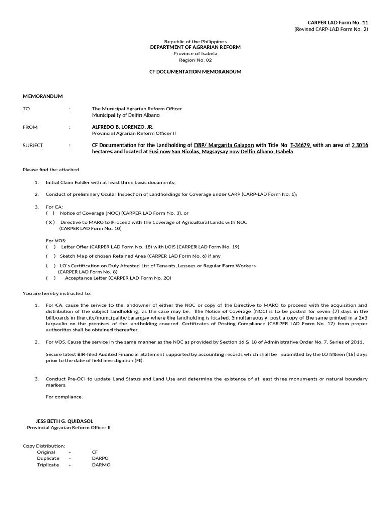 CARPER LAD Form No. 11 Instructions | PDF