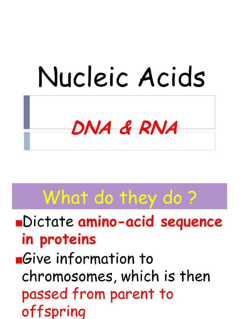 SCI-15-Nucleic-Acid | PDF