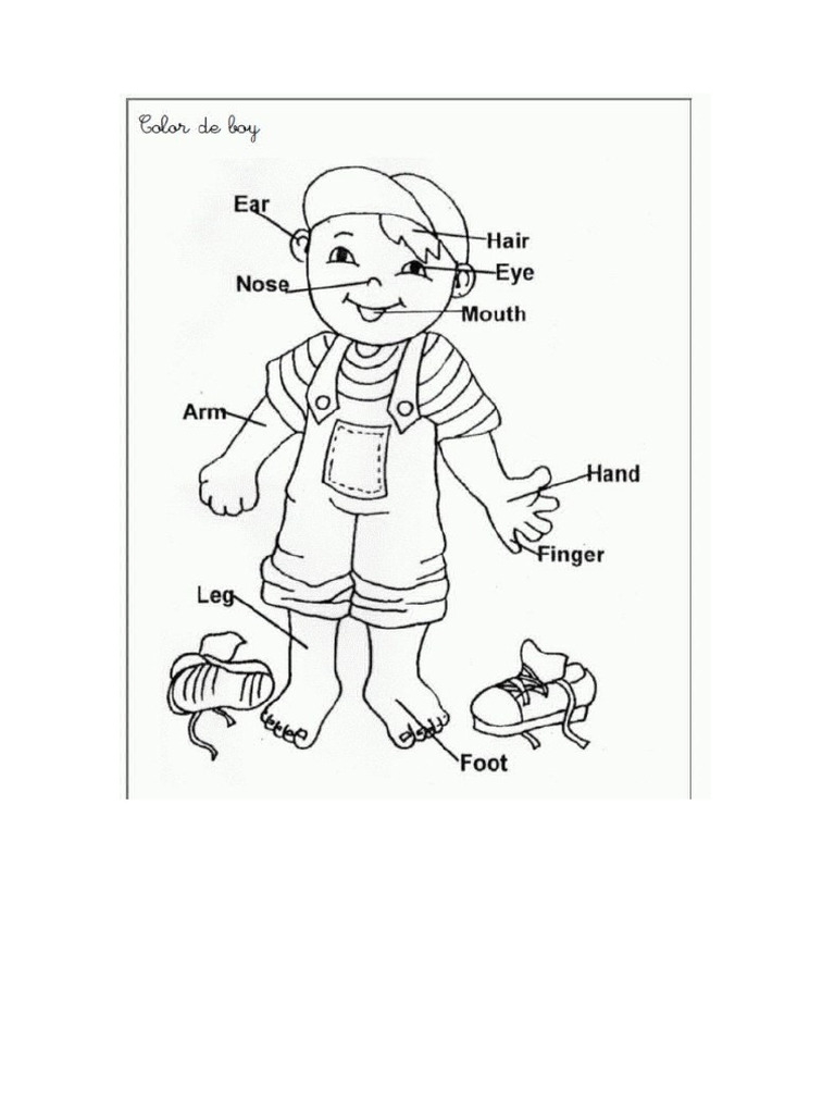Colouring Boy | PDF