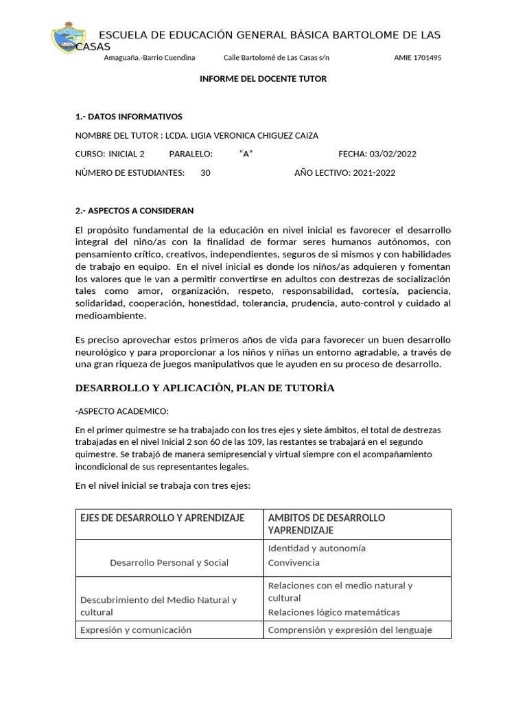 Informe Del Docente Tutor Inicial 2 | PDF | Educación de la primera infancia | Aprendizaje