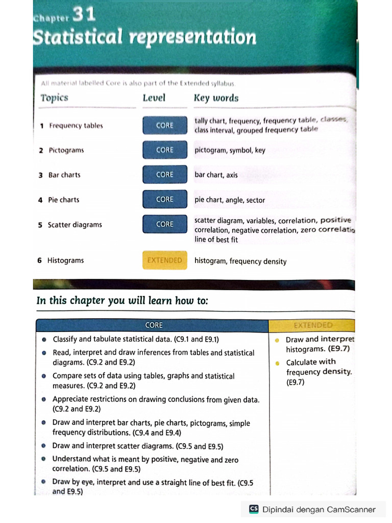 CH 31 Statistical Representation | PDF