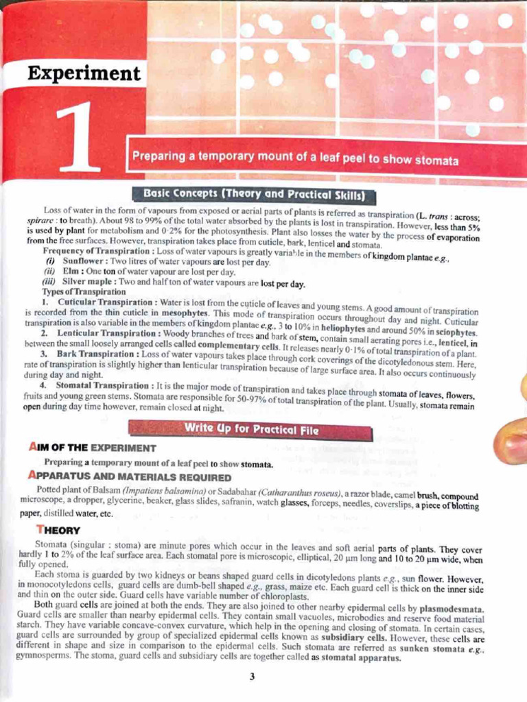 Biology Practical Book | PDF | Cellular Respiration | Stoma