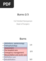 Understanding the Parkland Formula | PDF | Major Trauma | Burn