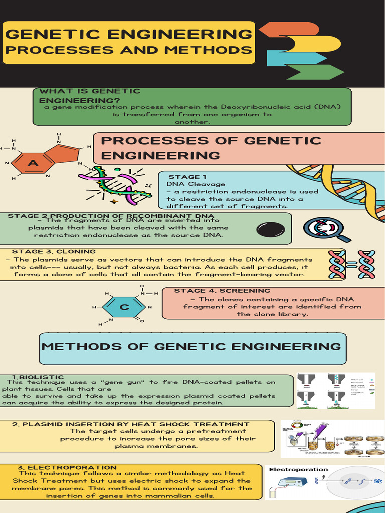 Colorful Illustrative DNA Day Science Educational Infographic | PDF