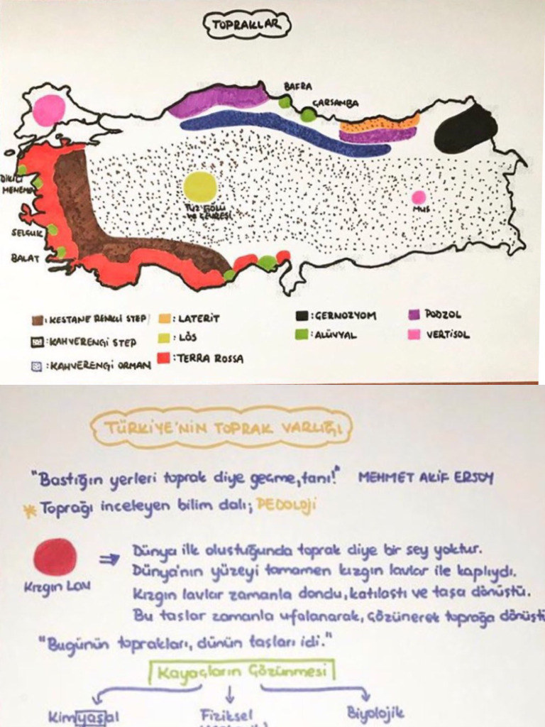 ?1-D Toprak | PDF