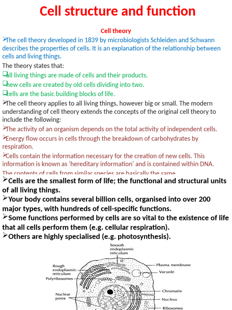 Cell Structure and Function | PDF | Cell Membrane | Osmosis