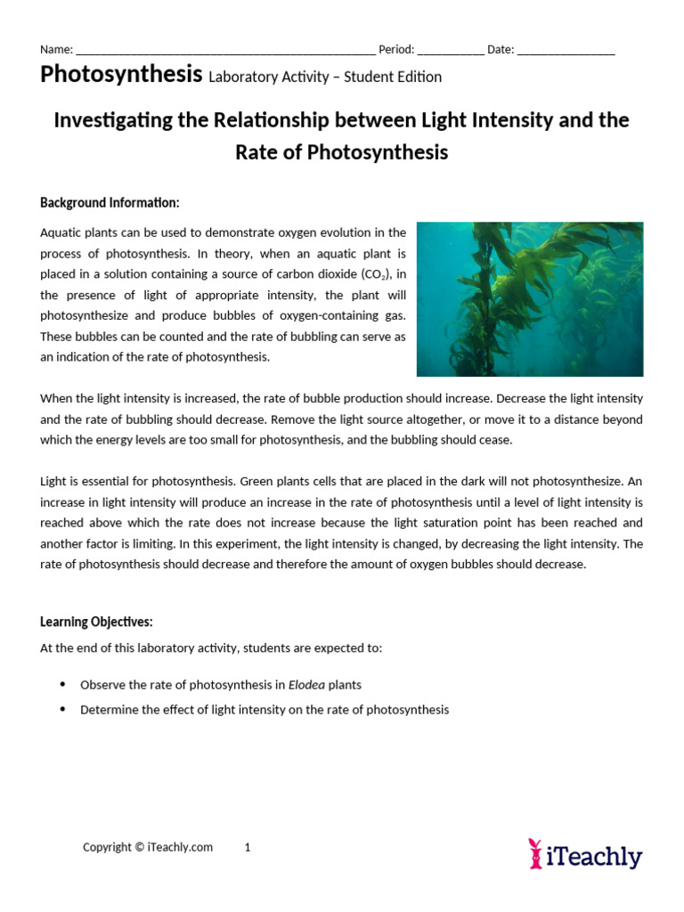 4 4 Laboratory Activity SE Photosynthesis | PDF | Photosynthesis ...