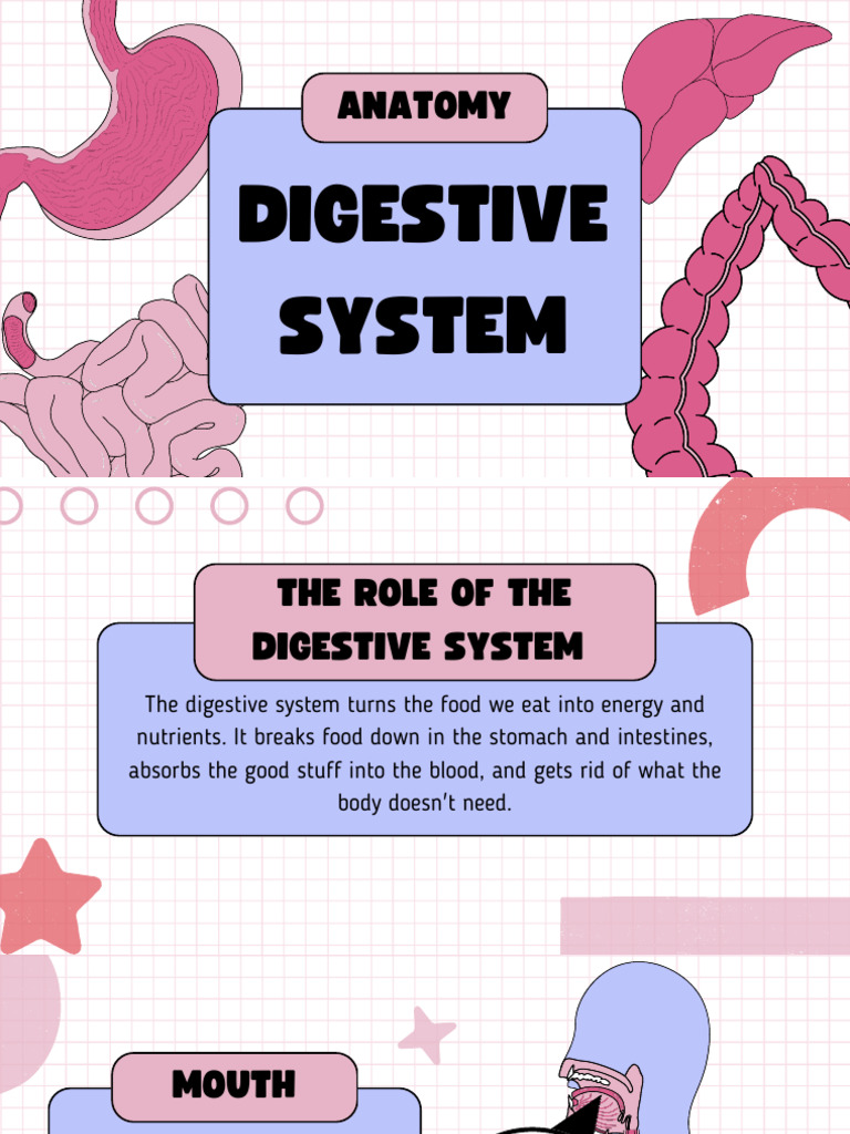 Digestive System Intro | PDF