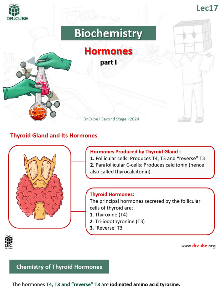 Biochemistry Lec.17 Hormones P.1 | PDF | Thyroid | Cell Biology