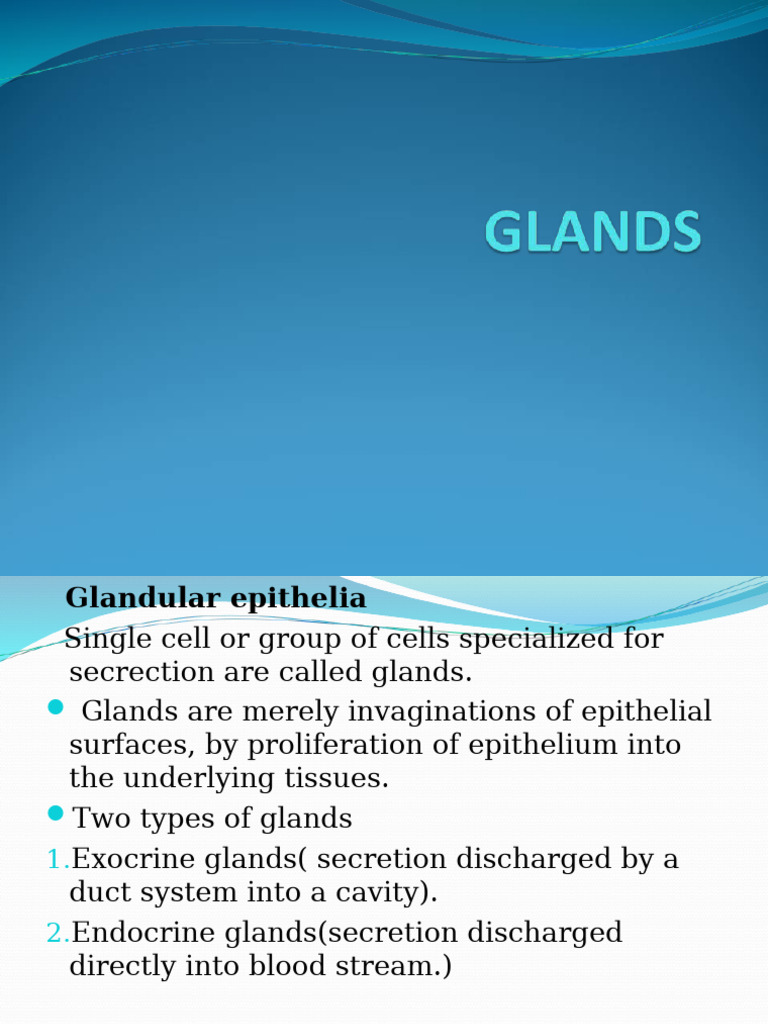 Glands Bds | PDF | Glands | Epithelium