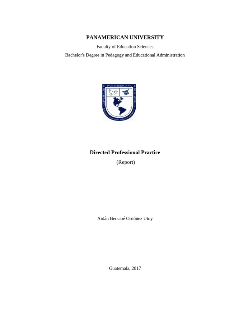 Professional Practice Report | PDF | Databases | Data