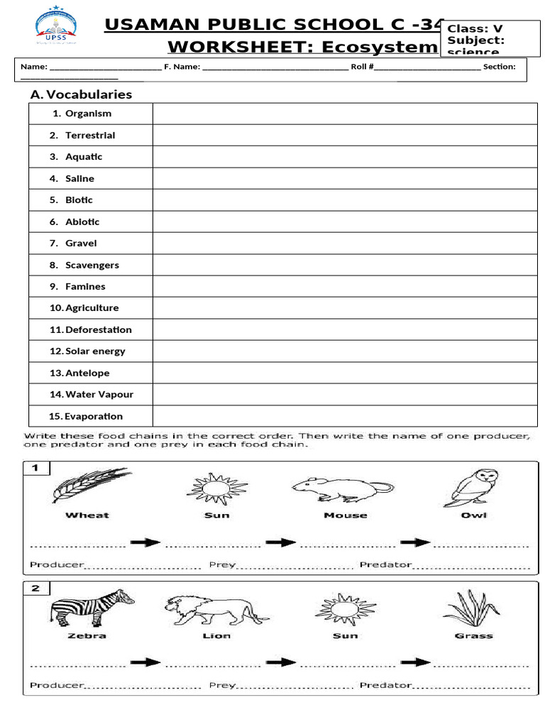 Work Sheet Template | PDF
