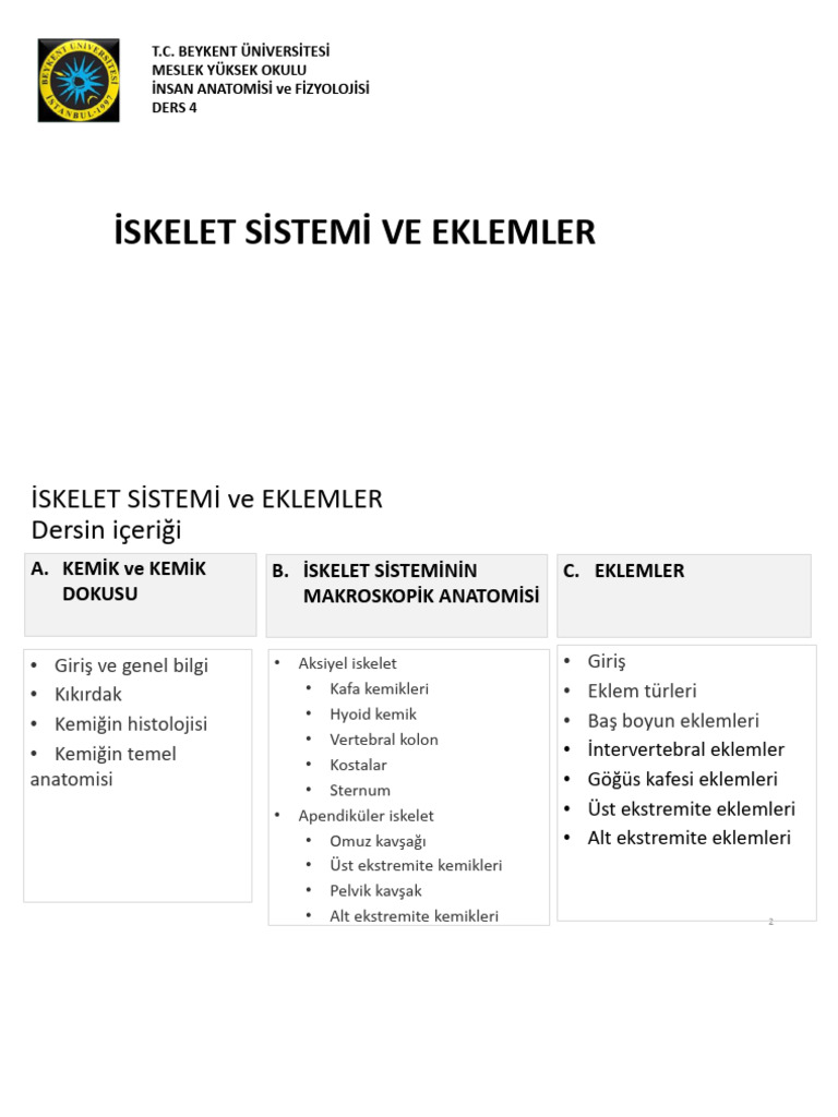 Ders 4 İskelet Si̇stemi̇ Ve Eklemler 1 | PDF