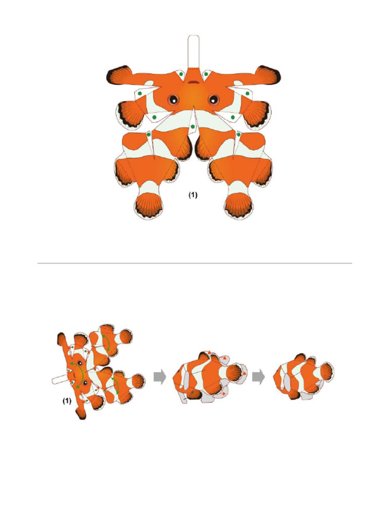 Paper Craft Activity - Clown Fish | PDF