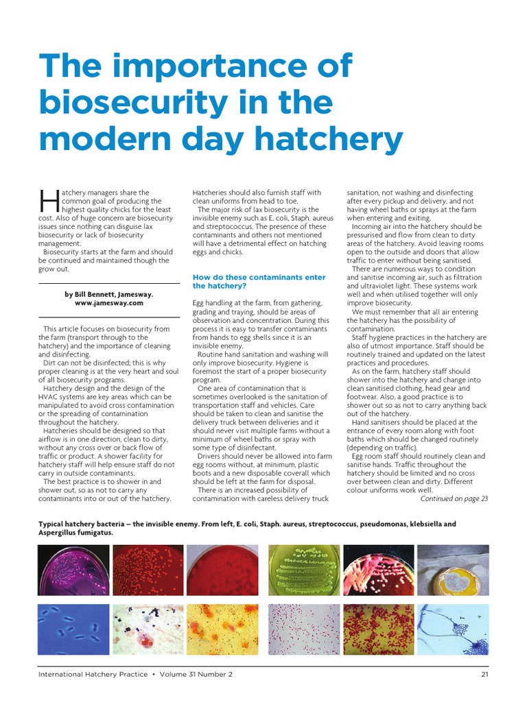 Biosecurity Practices in Hatcheries | PDF | Disinfectant | Bacteria