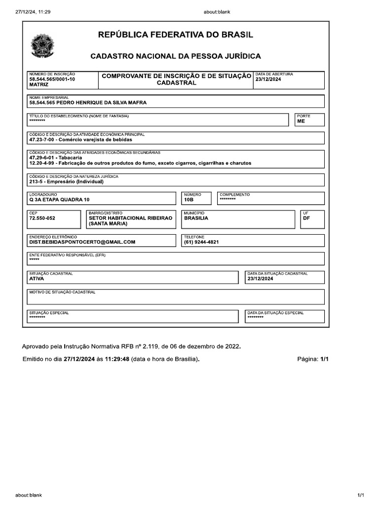 Documento Novo Cnpj | PDF
