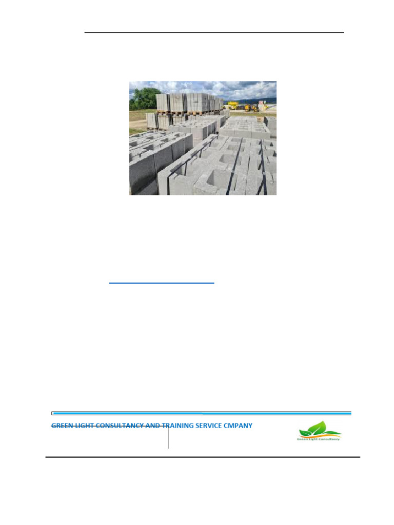 Blocket Business Plan | PDF | Internal Rate Of Return | Economics