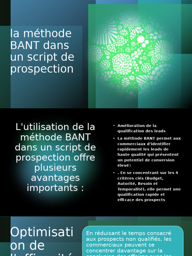 Optimiser la prospection avec BANT | PDF