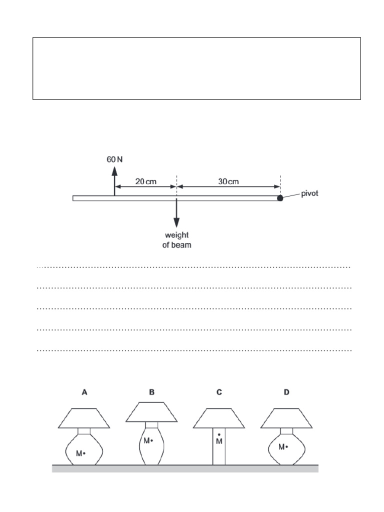 Turning Effects Worksheet | PDF