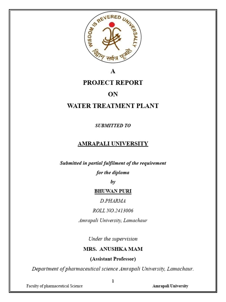 Water Treatment Plant Project Report | PDF | Sewage Treatment | Water ...