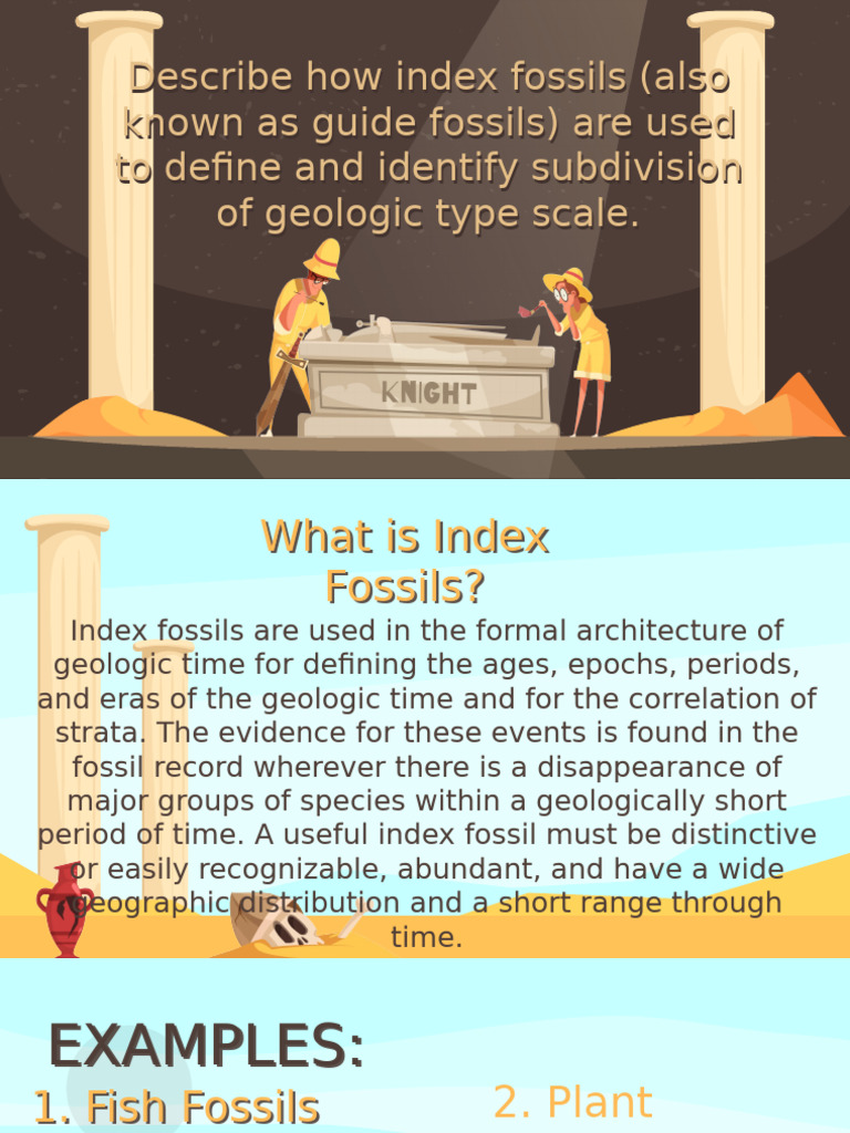 Science-Lesson-Fossils PT 123 | PDF | Fossil | Geologic Time Scale