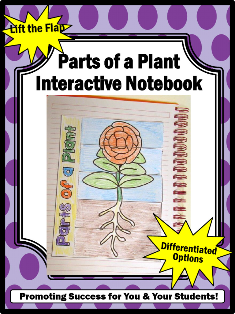 3 - Parts of A Plant Structure and Function Flower Craft Fun Science ...
