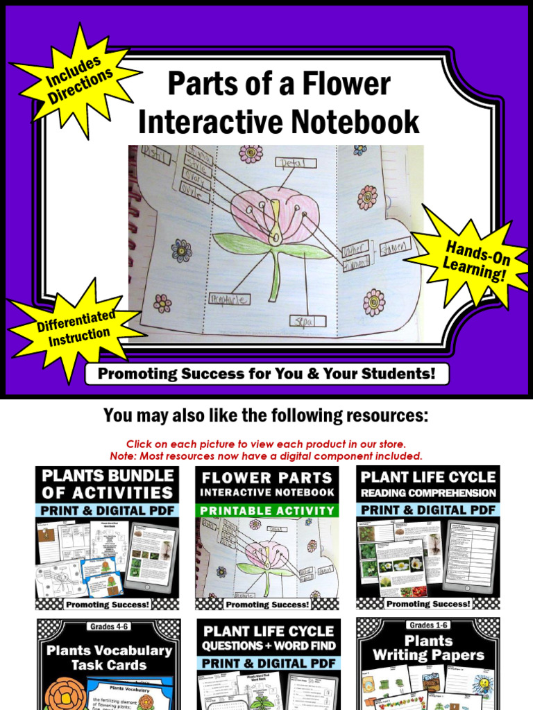 1 - Flowers Parts of a Flower Craft Diagram Parts of a Plant Structures ...