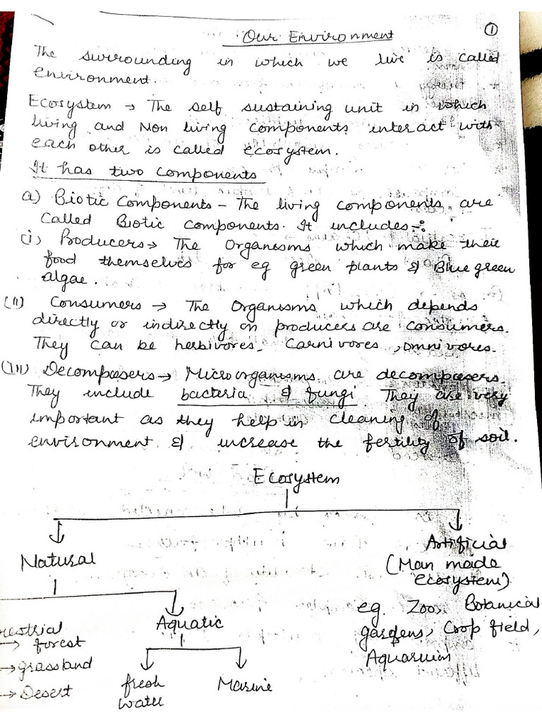 Our Environment Notes | PDF