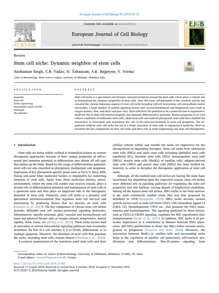 1 Stem Cell Niche Dynamic Neighbor of Stem Cells | PDF | Cell Signaling | Cellular Differentiation