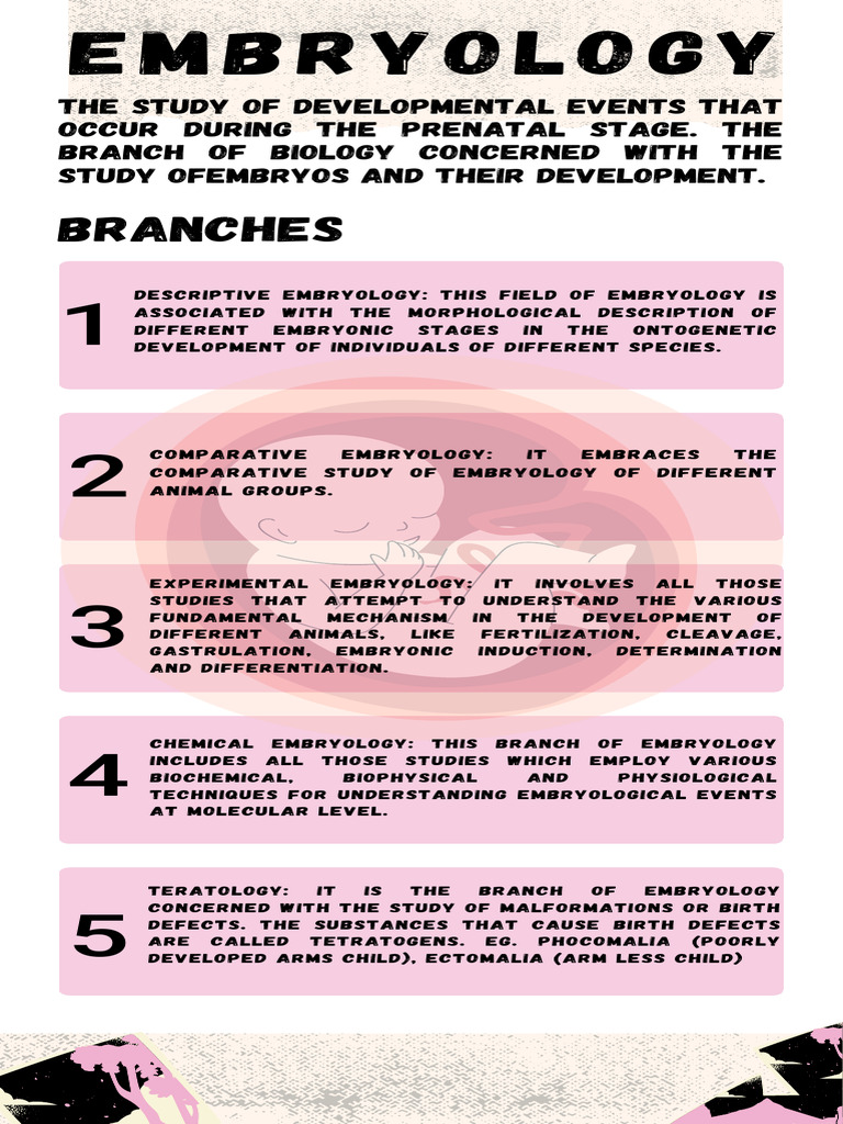 Key Branches of Embryology Explained | PDF