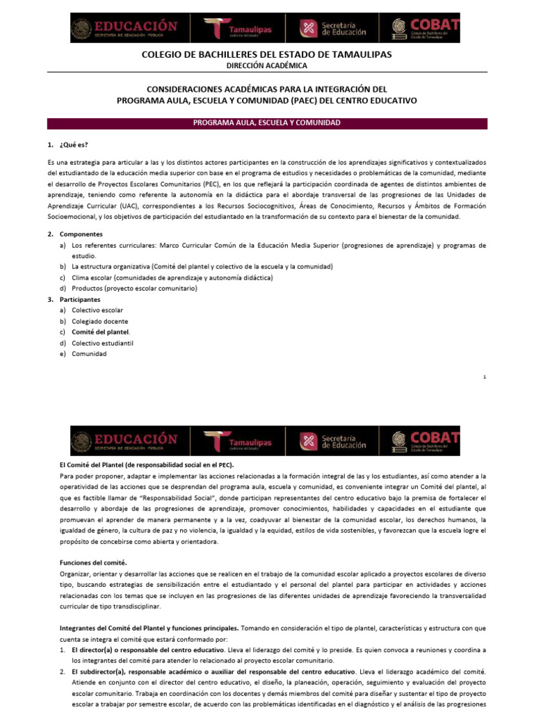 Consideraciones Académicas para La Integración Del PAEC 2023 2024 y El ...