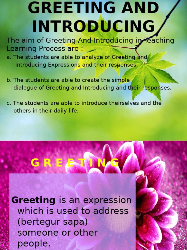Greeting and Introducing in English | PDF | Subject (Grammar) | Verb