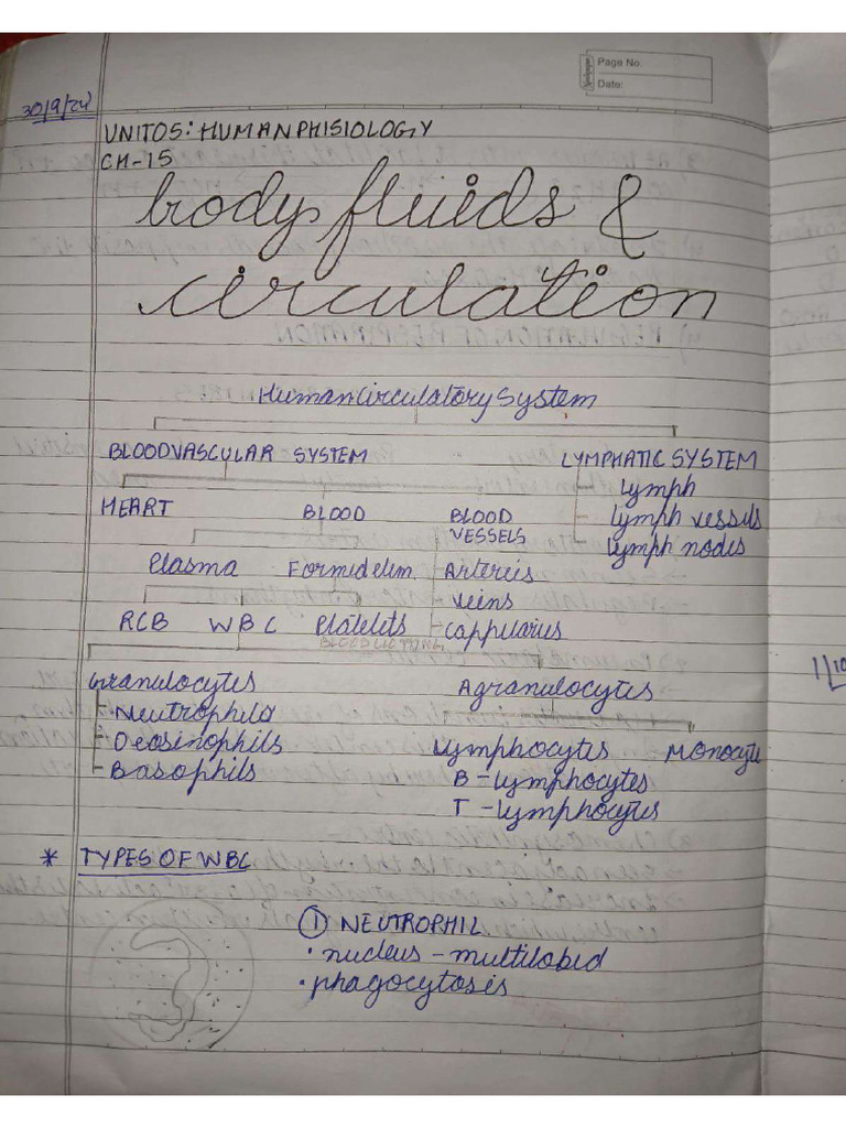 Biology Work Till 1 Oct | PDF